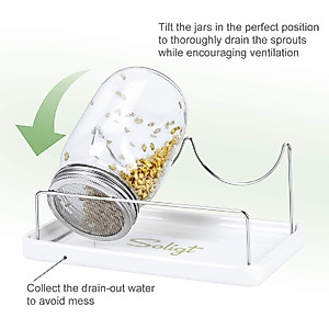 Complete Mason Jar Sprouting Kit - 2 Wide Mouth Quart Sprouting Jars with 316 Stainless Steel Sprouting Lids, Ceramic Drip Tray and Stand