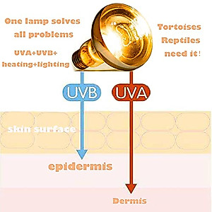 EBENACEAE 250 Watt Chicken Coop Heater BR40 Warm Lamp Heater E26 for Poultry and Livestock Household Planting Animal Husbandry Gathering Warmth Lamp