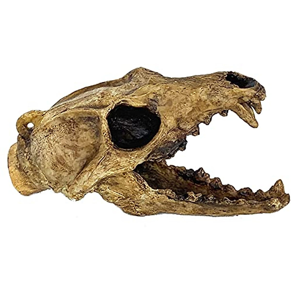 Screaming Aztec Death Whistle - Carnivore