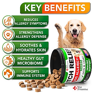 Vet Promise Dog Allergy Chews - Itch Relief for Dogs - Dog Allergy Relief - Anti Itch for Dogs - Dog Itchy Skin - Dog Allergy Support - Hot Spots - Immune Health Supplement - Made in USA - 120 Treats