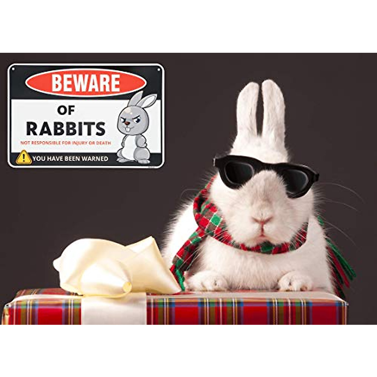 Venicor Beware of Rabbit Sign Decor - 8 x 12 Inches - Aluminum - Bunny Rabbit Decorations Accessories Gifts Supplies Stickers Stuff