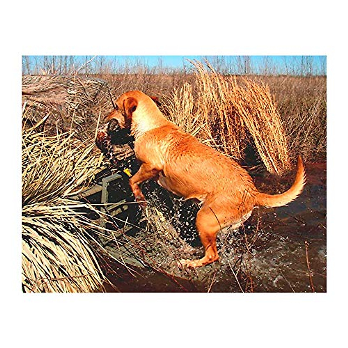 Great Day Load-A-Pup HD 14x20in Robust Safety Pet Loading Platform - for The Hunting Dog - Earth-Tone Gray Powder-Coated Finish - Intended for Use in Fresh Water, LP500HD