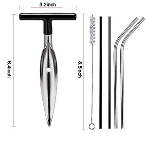 2 Pack Coconut Opener Tool Set with 4 Reusable Straws & Brush, Food Grade Stainless Steel Coco Nut Bottle Opener for Young Thai Green Fresh Coconut Water, Safe and Convenient Coco Drill Punch Tool
