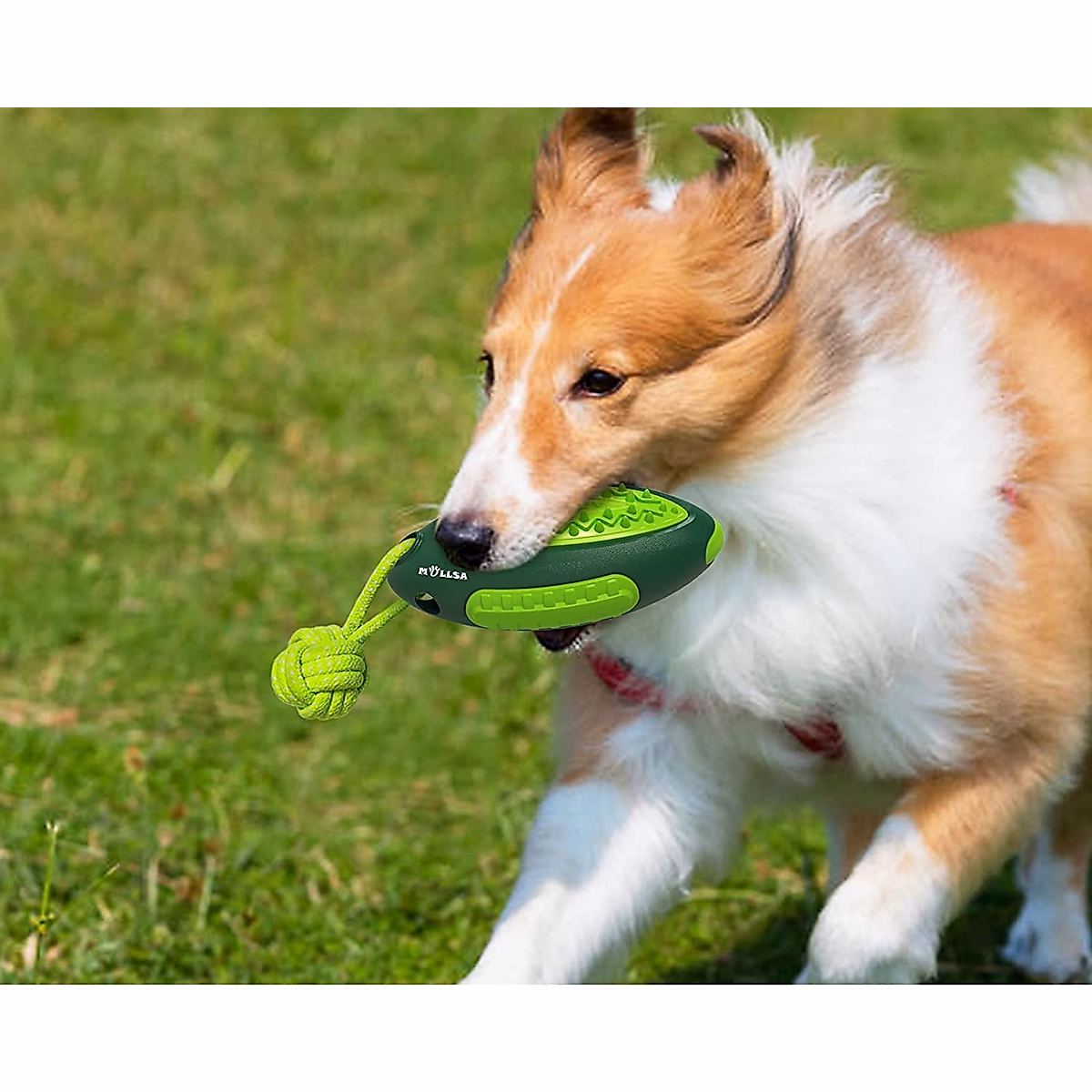 Squeaky Dog Toys Puppy Squeak Toy Interactive Doggy Treat Dispenser Food Dispensing Ball Fetch Catch Rugby Puzzle Teething Toys Ball IQ Training Chew Toys for Small and Medium Dogs