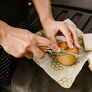 Opinel No.08 Stainless Steel Folding Knife with Beechwood Handle