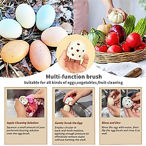 2Pack Fresh Egg Brush Cleaner, Egg Cleaner for Fresh Eggs,Egg Washer for Fresh Eggs,Cleaning Tools for Egg Washer (White+Eggcolor）