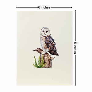 iGifts And Cards Majestic Owl 3D Pop-Up Greeting Card - 6"x8" Enchanting Forest Whispers Gift, Fun Present for Animal and Nature Lovers, Unique Ideas for Birthday, Graduation, Housewarming