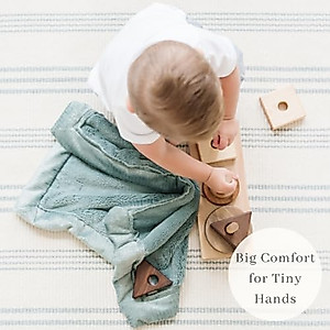 SARANONI Security Blankets for Babies Super Soft Boutique Quality Lush Luxury Baby Blanket (Mini 15" x 20", Eucalyptus)