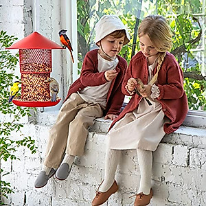 Metal Bird Feeders Cardinal Bird Feeder Retractable Birdfeeders Outside Hanging Garden Yard Outside Decoration 7 LB