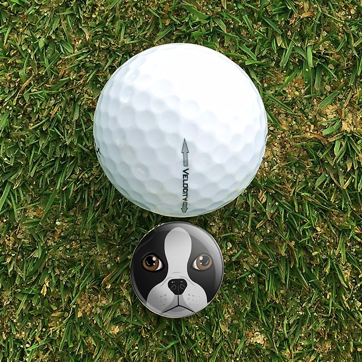 GRAPHICS & MORE Boston Terrier Look Into My Eyes Face Pet Dog Golf Hat Clip with Magnetic Ball Marker