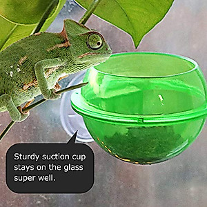 MACGOAL 3 Pieces of Reptile Suction Cup Feeder Chameleon Bowl Reptile Food and Water Bowl Dish Reptile Worm Dish Escape Proof, Suitable for Crested Gecko Tree Frog Chameleon Lizard Bearded Dragon