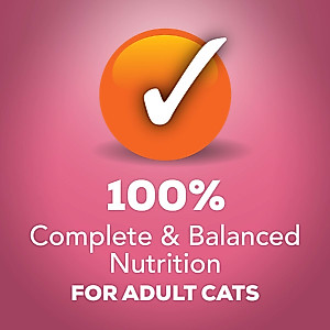 Purina Friskies Gravy Wet Cat Food Variety Pack, Prime Filets Meaty Favorites - (24) 5.5 oz. Cans