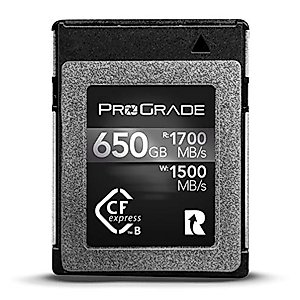 ProGrade Digital Memory Card - CFexpress Type B for Cameras | Optimized for Express Transfer of Files & Large Storage | 650GB Cobalt Series
