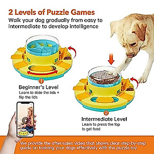 Potaroma Dog Puzzle Toy 2 Levels, Slow Feeder, Dog Food Treat Feeding Toys for IQ Training, Dog Entertainment Toys, 4.2 Inch Height