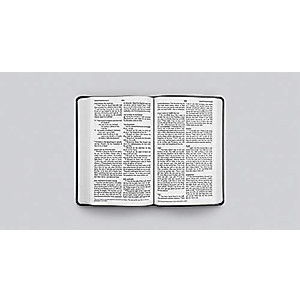 ESV Large Print Value Thinline Bible (TruTone, Black)