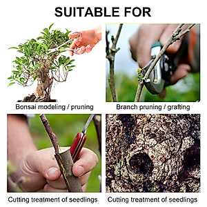 Garden Bonsai Plant Healing Paste, Tree Wound Pruning Sealer Bonsai Pruning Cutting Paste, Plants Wound Dressing for Garden Plant Grafting and Wound Treatment, Help Trees Recover Quickly ,30g