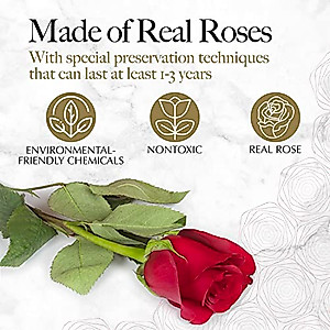 GLAMOUR BOUTIQUE 16-Piece Forever Flowers Heart Shape Box - Preserved Roses, Immortal Roses That Last A Year - Eternal Rose Preserved Flowers for Delivery Prime Mothers Day & Valentines Day - Red