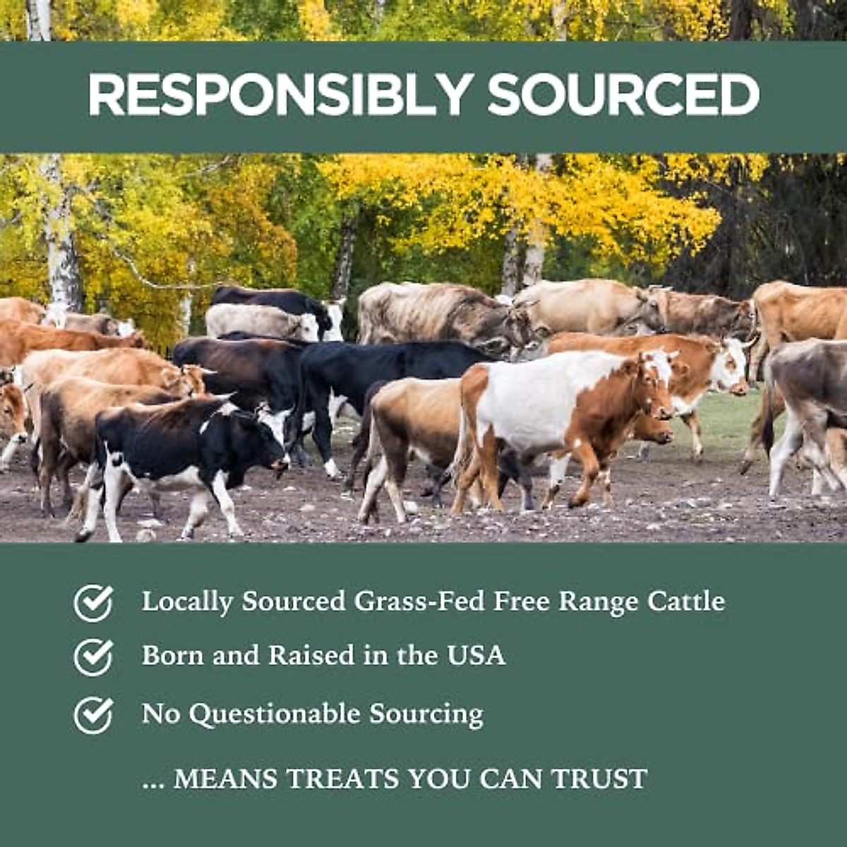 K9 Connoisseur Low to Odor Free Slow Roasted Beef Lung Dog Treats Made in USA, One Ingredient Dog Treats & All Natural Dog Treats, Grain Free Dog Treats for All Breeds & Sizes - 2.5 Pounds