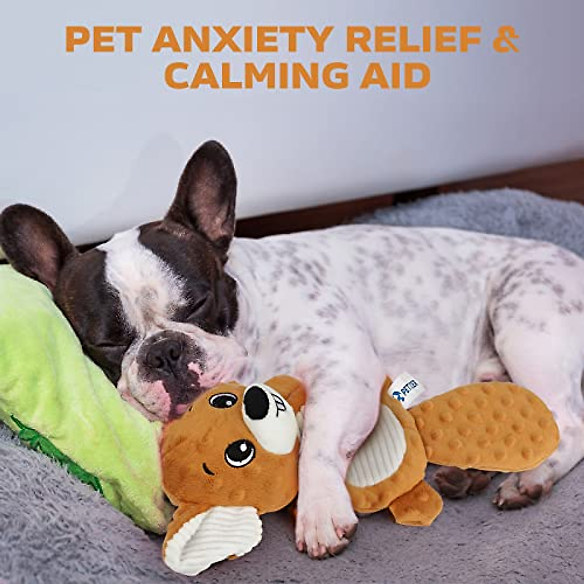 petizer Plush Squeaky Dog Toys, Stuffed and Crinkle Dog Chew Toys, Interactive Toys for Puppies, Small, Medium and Large Dogs, Cute Squirrel and Raccoon, 2 Pack