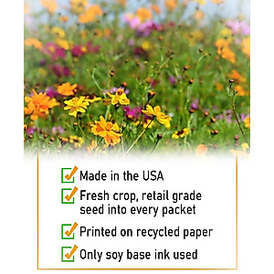 Pack of 20 Pre-Filled Bouquet Seed Mix Packet Girl Boy Baby Shower Party Favors Baby Announcements for Guests "A Little Wildflower" Is On The Way Thank You Celebration of Life Plant Seeds Year-Round