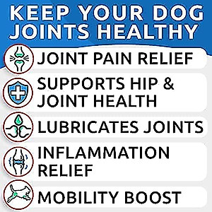 Glucosamine Dog Treats + Grass Treatment for Dog Urine Bundle - Hip Support and Joint Pain Relief Supplement w/ Chondroitin, MSM, Omega-3 + Pee Lawn Repair w Probiotics - Dog Urine Neutralizer
