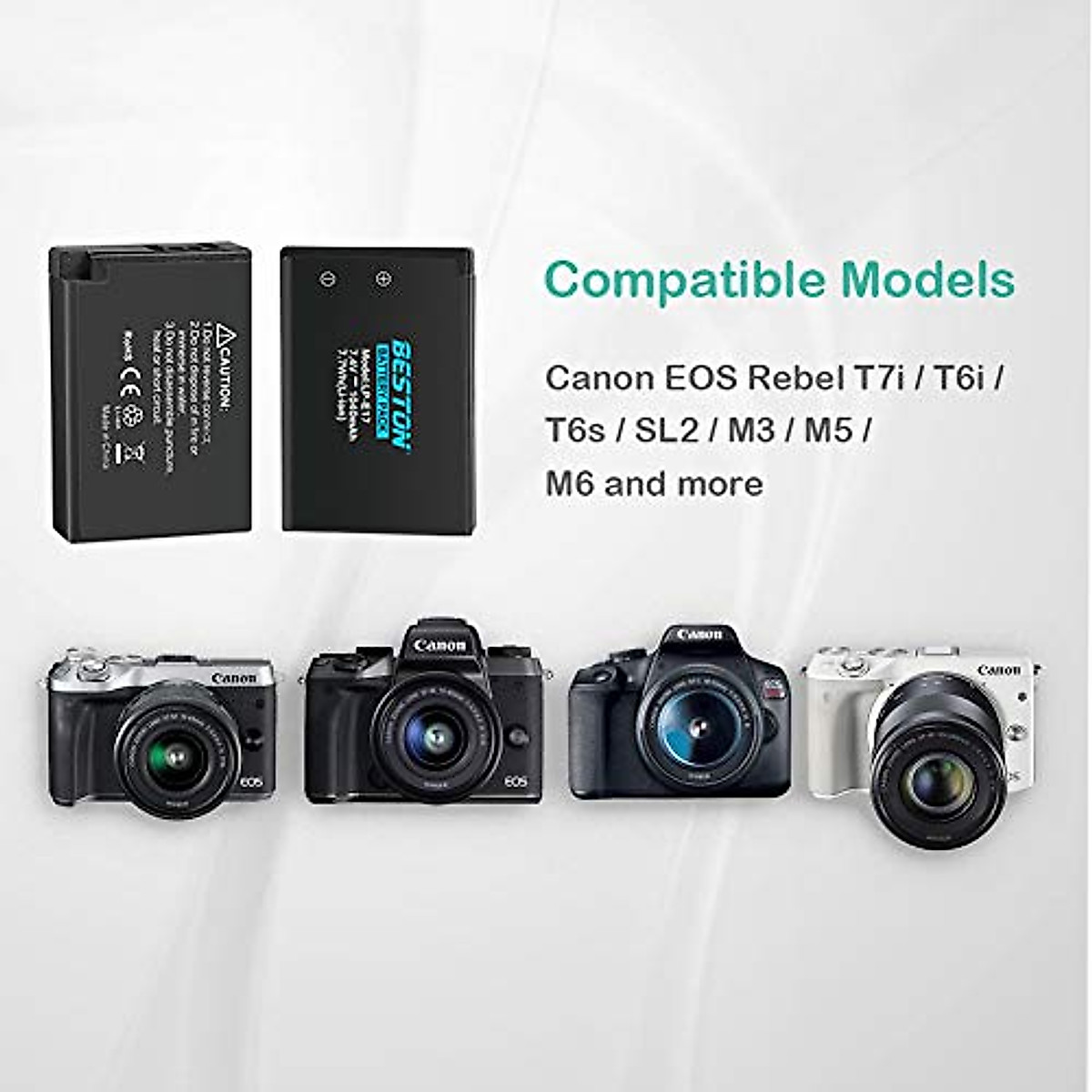 BESTON 2-Pack LP-E17 Battery and Charger Set for Canon EOS RP, Rebel T8i, T7i, T6i, T6s, SL2, SL3, EOS M3, M5, R10, M6 Mark II, 77D, 200D, 750D, 760D, 800D, 8000D Camera
