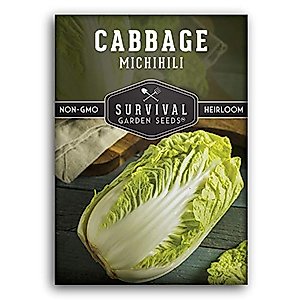 Survival Garden Seeds - Michihili Napa / Nappa Cabbage Seed for Planting - Pack with Instructions to Plant and Grow Brassica Vegetables in Your Home Vegetable Garden - Non-GMO Heirloom Variety