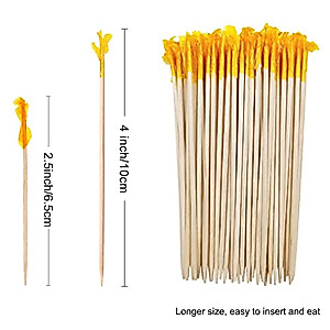 BLUE TOP Wood Frill Picks Toothpicks 4 Inch Pack 1000,Cocktail Party Toothpicks for Fruit,Appetizers,Club Sandwiches,Parties.