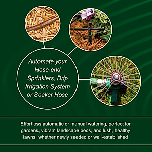 Rain Bird 1ZEHTMR Professional Grade Electronic Digital Hose End Timer/Controller, One Zone/Station, Battery Operated