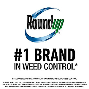 Roundup for Lawns₄ Ready-To-Use (Southern) - All-in-One Weed Killer for Lawns, Extended Reach Wand, 1 gal.