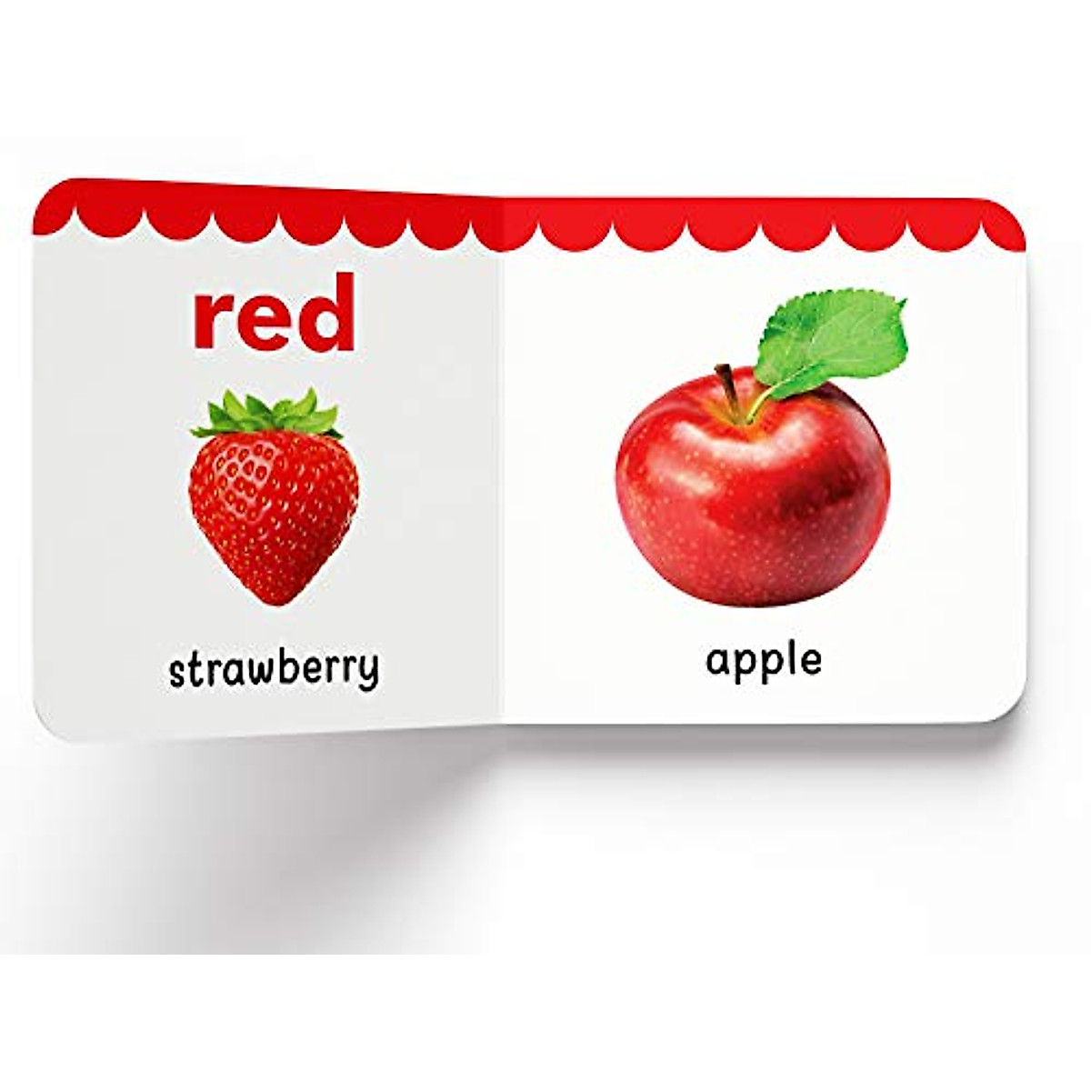 My First Complete Learning Library: Boxset of 20 Board Books Gift Set for Kids (Horizontal Design)