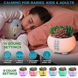 【3 in 1】White Noise Sound Machine for Sleep Adults Kids Baby – White Noise Machine for office privacy & noise canceling - Pink and Brown Noise, Lullaby’s and Nature Sleep Sounds for Deep Restful Sleep