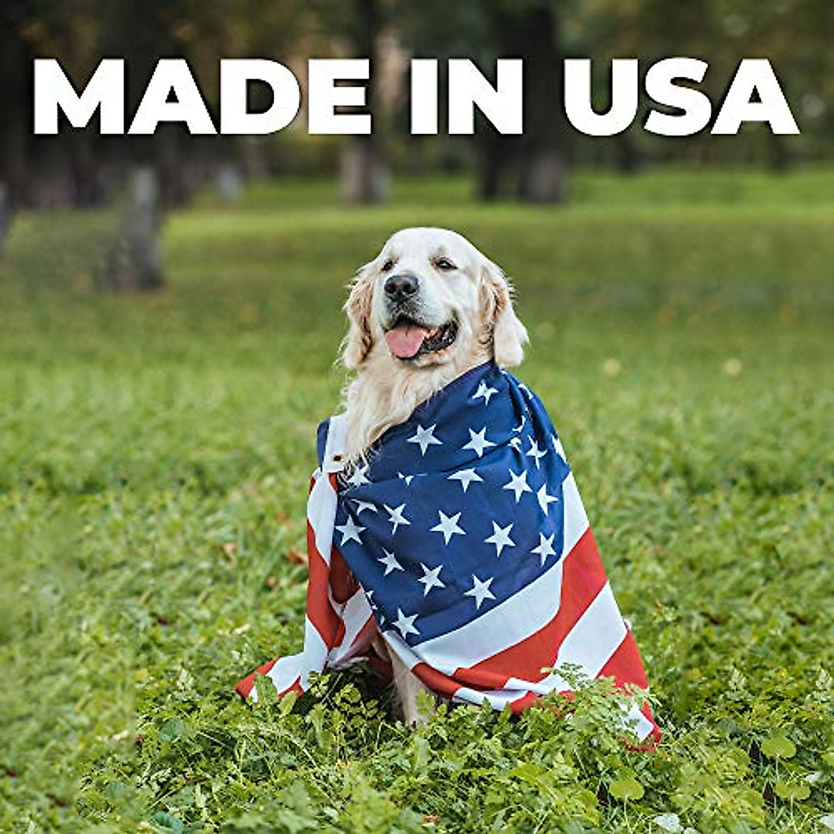 Forticept Hot Spot Treatment and Wound Care Kit for Dogs&Cats |Hotspot Wound Wash Spray 8oz + Wound Care Ointment 4oz + 2" 5 Yards Paw Bandage Wrap | First Aid Kit