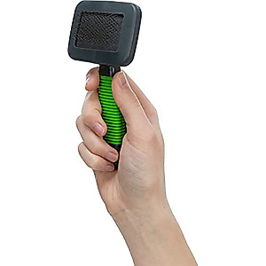 TRIXIE Pet Grooming Soft Brush & Comb Set for Puppies, Kittens, and Small Animals