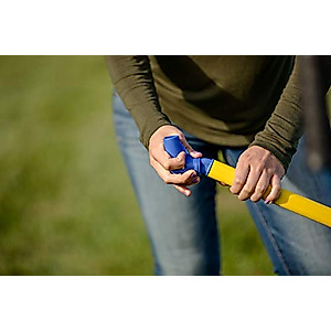 Triumph Sports Multi-Sport Versatile Combo Outdoor Game Net Set Includes Volleyball, Badminton, and Pickleball, Blue (35-7510-2)