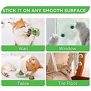 Aucenix Catnip Balls Toy for Cat, Wall Catnip Roller for Cat Licking, Teeth Cleaning Dental Edible Kitten Toy, Natural Rotating Crab Cat Toy (Green)