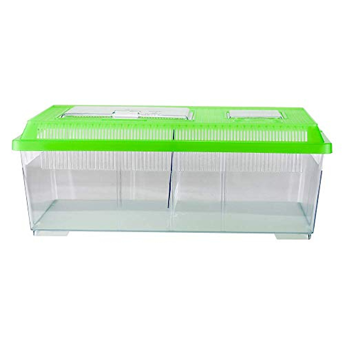 Lee's Reptile Ranch, Large, Rectangle with Lid, Colors may Vary