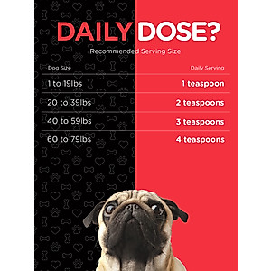 Horbaach Salmon Oil for Dogs 64 fl oz | with Pump | Supports Healthy Skin and Coat | with Omega 3, EPA & DHA | Bulk Size Pet Supplement | Non-GMO, Gluten Free