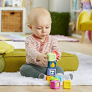 Playskool Critter Building Blocks, Toddler and Baby Toy for Ages 6 Months and Up (Amazon Exclusive)