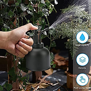 Globalstore Plant Mister, Stainless Steel Plant Mister Spray Bottle, Mini Plant Watering Can, Antique Spray Mister Fancy Plant Spritzer for Indoor Plants Succulents Orchids Air Plants Home Room Decor