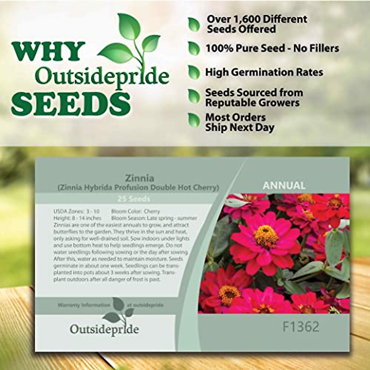 Outsidepride Zinnia Profusion Double Hot Cherry Heat & Drought Tolerant Garden Cut Flowers - 50 Seeds