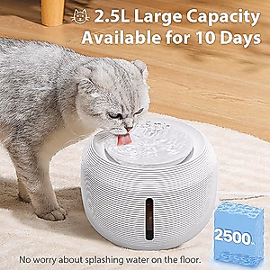 YDRQEA Cat Water Fountain, Water Fountain for Cats Inside Ultra Quiet Pet Water Fountain for Cats, 84 fl oz/2.5L Automatic Cat Drinking Fountain White, 2 Pack Filters.