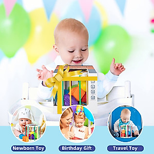 Ouji Baby Toys 6 to 12-18 Months Girl Gifts,Montessori Toys for 1 Year Old Boy Girl Gifts,Shape Sorter Sensory Toys for Toddlers 1-3,Birthday Baby Gifts for 6-12 Months Boy Toddler Girl Toys Age 1-2