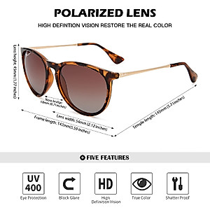 Polarized Sunglasses for Women Classic Round Style 100% UV Protection (Tortoise; Gold/Brown Gradient)