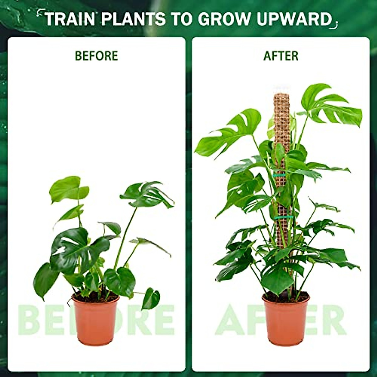 Gardzizy Plastic Moss Pole 6 Pcs 24 Inch Moss Poles for Plants Monstera Climbing Plants, Plant Support for Indoor Plants Work with Sphagnum Moss (6 Pack)