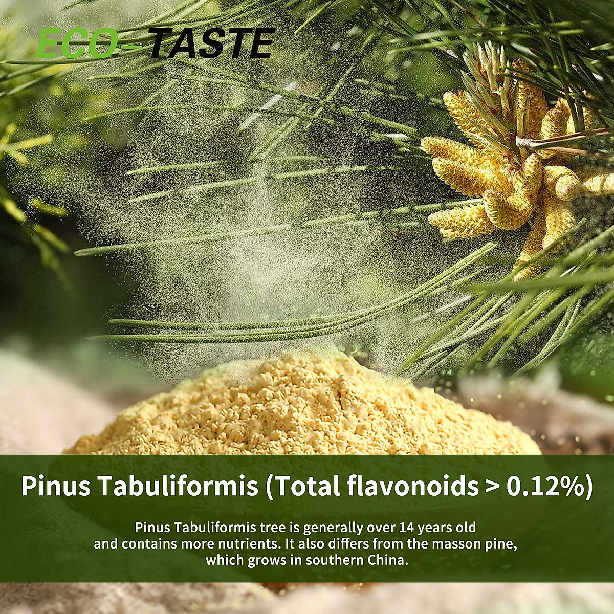 ECO-TASTE Pine Pollen Powder 6 Ounce, Wild Harvested - Pinus Tabuliformis， 99% Cracked Cell Wall