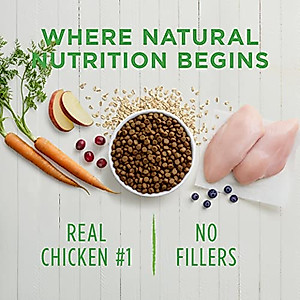 Instinct Be Natural Real Chicken & Brown Rice Recipe Natural Dry Dog Food, 25 lb. Bag