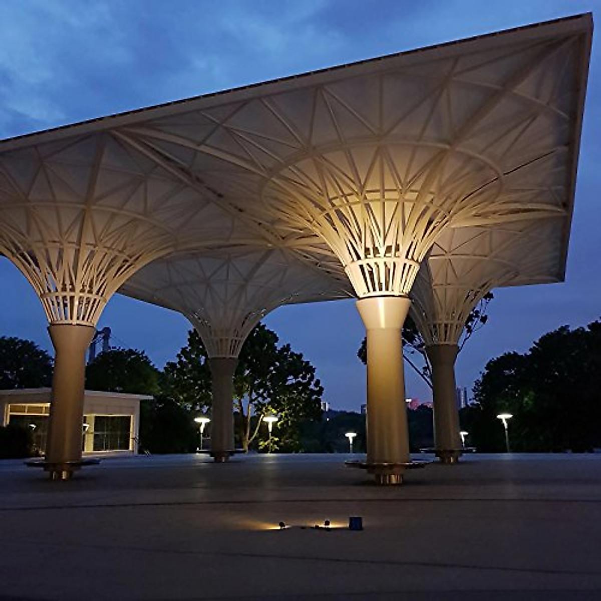 Legacy Mini 50X Twin Solar-Powered LED Spotlight (Warm White LED) for Outdoor Garden Yard Landscape Uplight Downlight, Waterproof, Black Finish