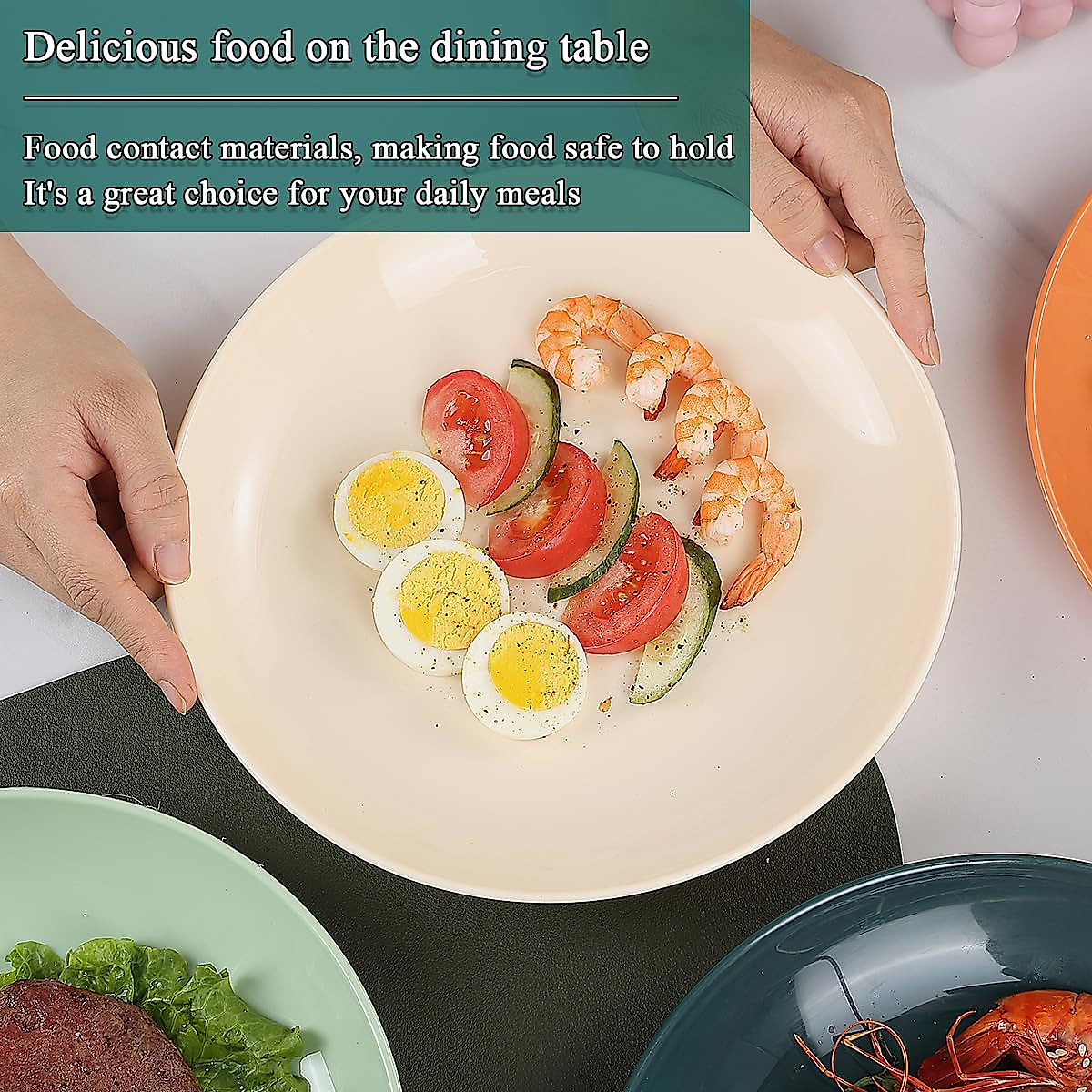 Evanda Plastic Plates Set of 8 Pieces, Dinner Plates 9.5 inch Unbreakable Reusable Dishes for All Purpose and All Age, Microwave Safe BPA Free Dishwasher Safe (Mutil Color)