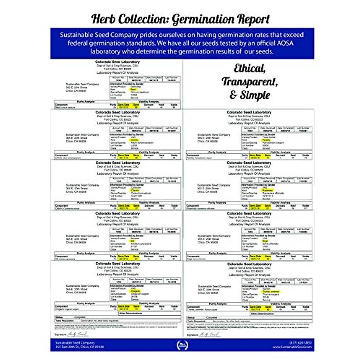 Culinary Herb Seeds Outdoor & Indoor Herb Garden Kit - 10 Herb Garden Seeds for Planting & 8 Instant Soil Pucks - Basil Seeds, Cilantro Seeds, Lavender Seeds, Rosemary Seeds, Thyme Seeds, & More